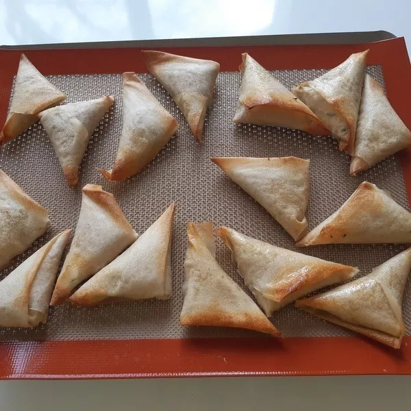 Samoussas au Thon | Guy Demarle